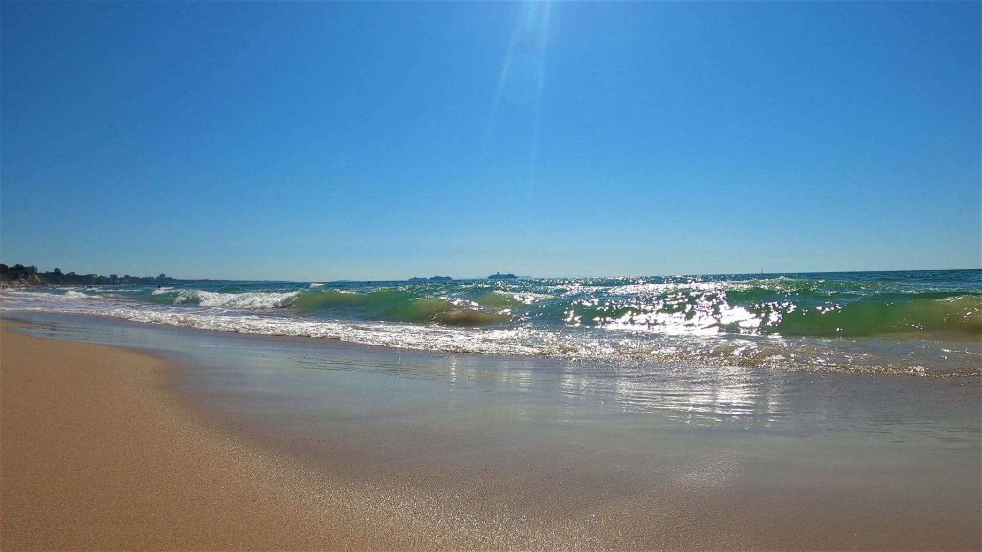 Sparkling Ocean | Sandbanks Beach: Official Visitor Guide to Sandbanks