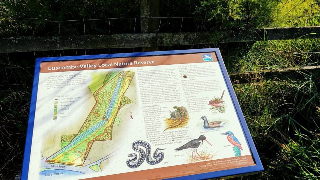 Luscombe Valley Nature Reserve | Sandbanks Beach | Visit Sandbanks ...