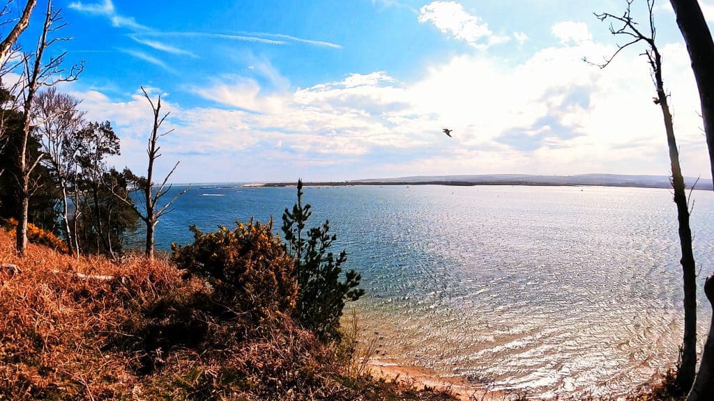 Brownsea Island > Visit the Island of Brownsea | Poole (Dorset)
