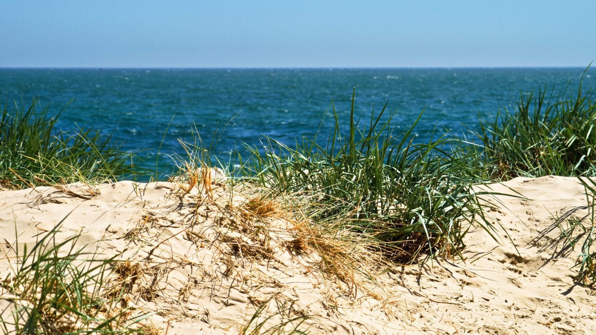 More Sanddunes at Haven Point | Sandbanks Beach: Official Visitor Guide ...