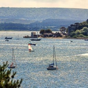 Visit Brownsea Island: National Trust | Poole (Dorset)