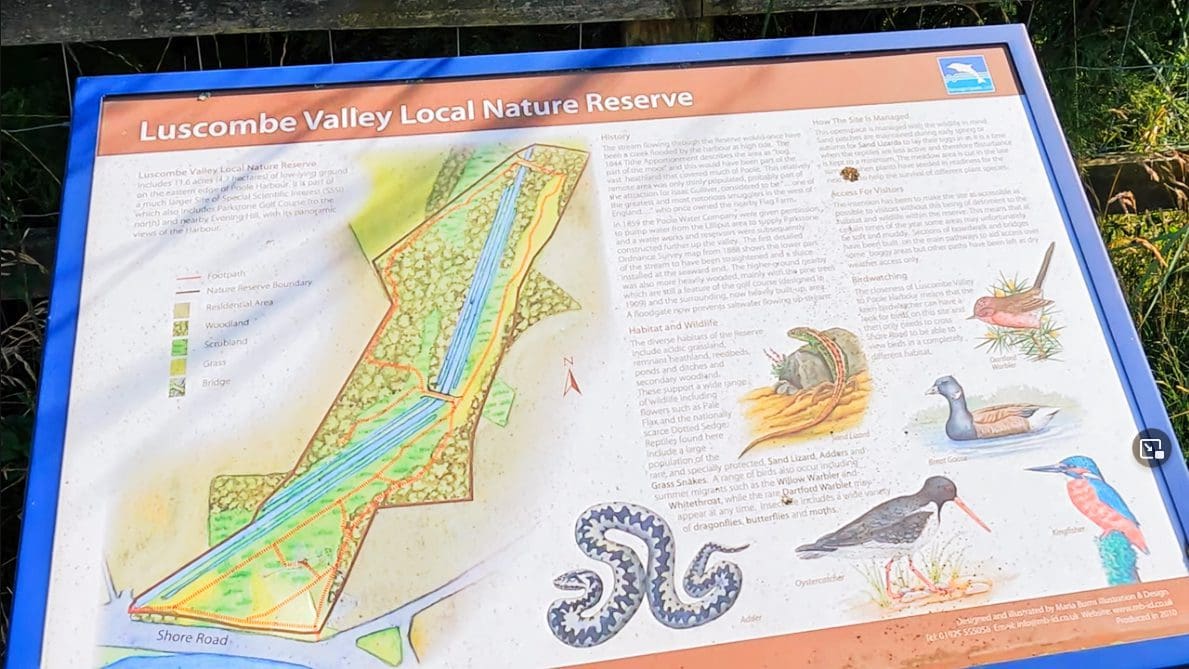 A relaxing stroll around Luscombe Valley | SB TV